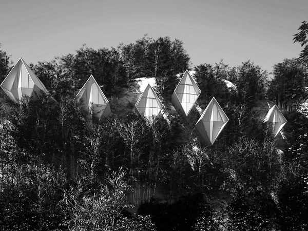 Bamboo forest camping home stay 3D model - TurboSquid 1734840