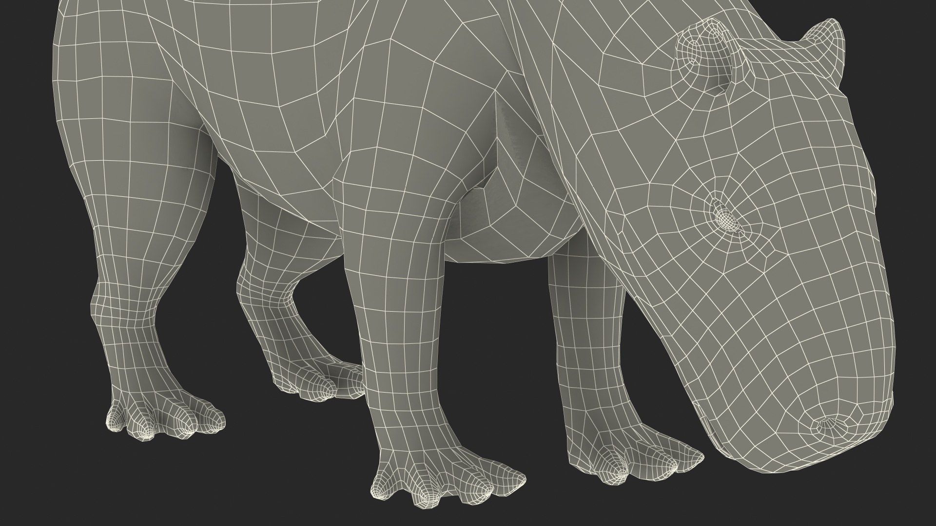 Capybara Eating Pose 3D - TurboSquid 1943511