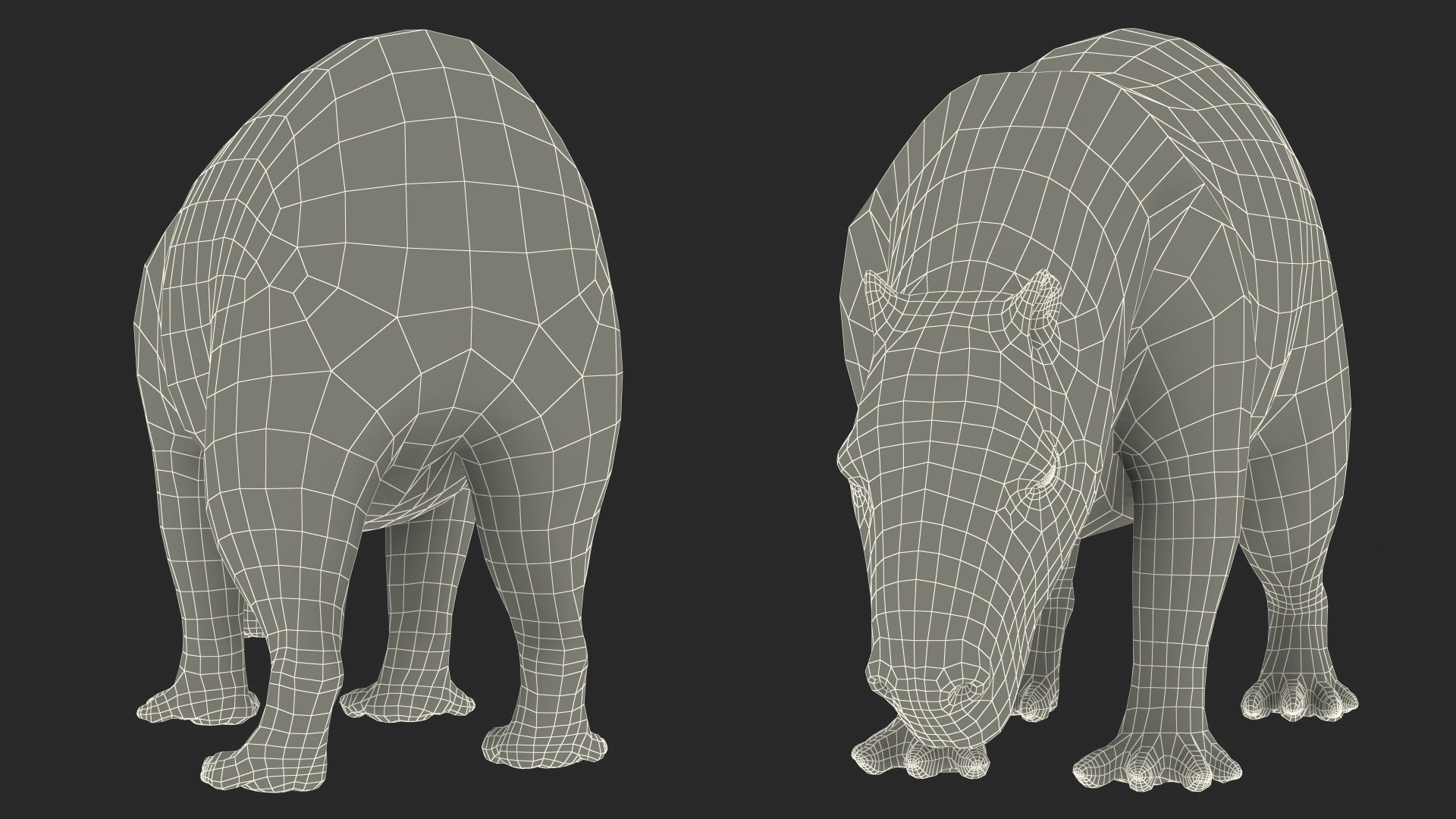 Capybara Eating Pose 3D - TurboSquid 1943511