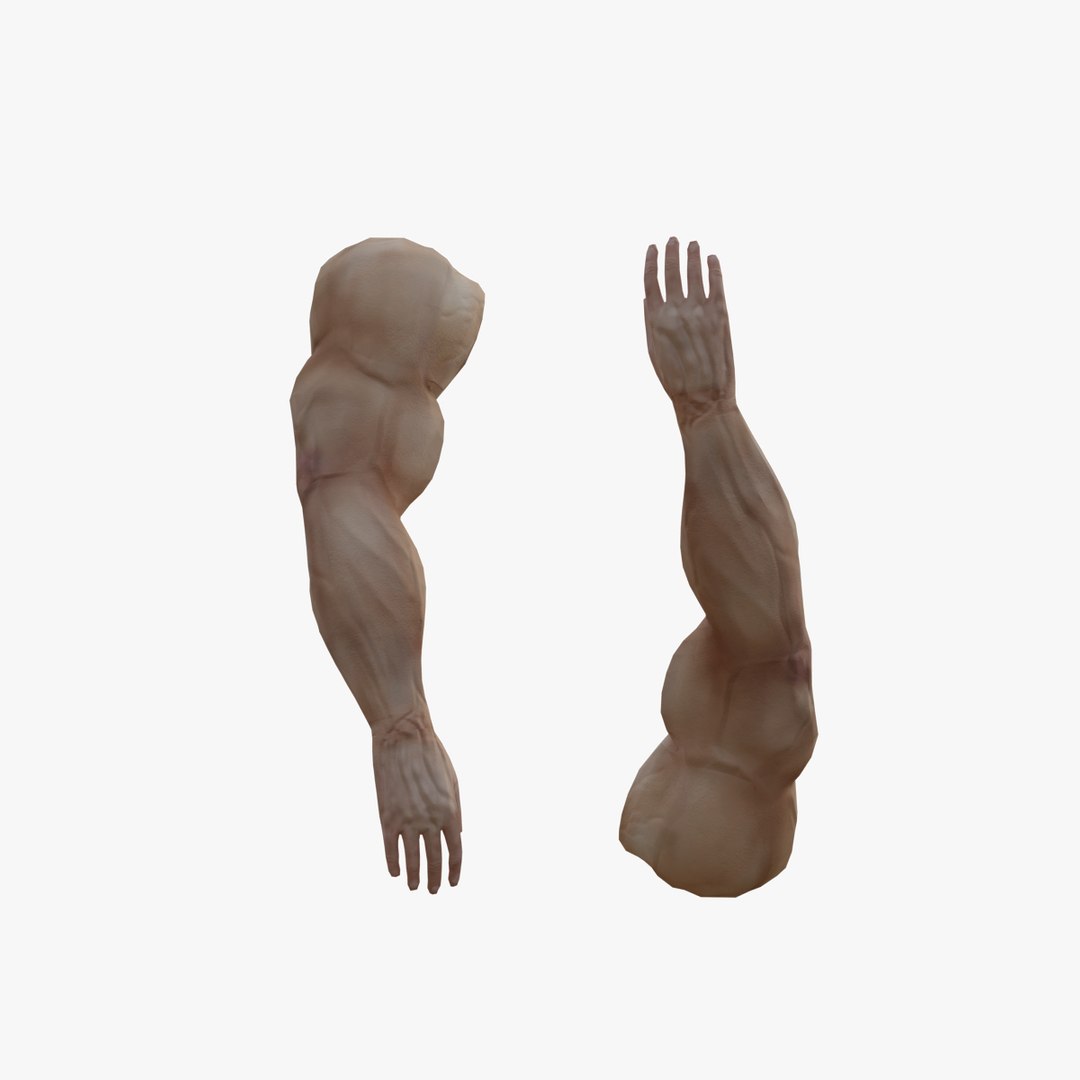 3D model ARMS 3D MODEL - AR - VR - GAME READY 3D model - TurboSquid 1998662