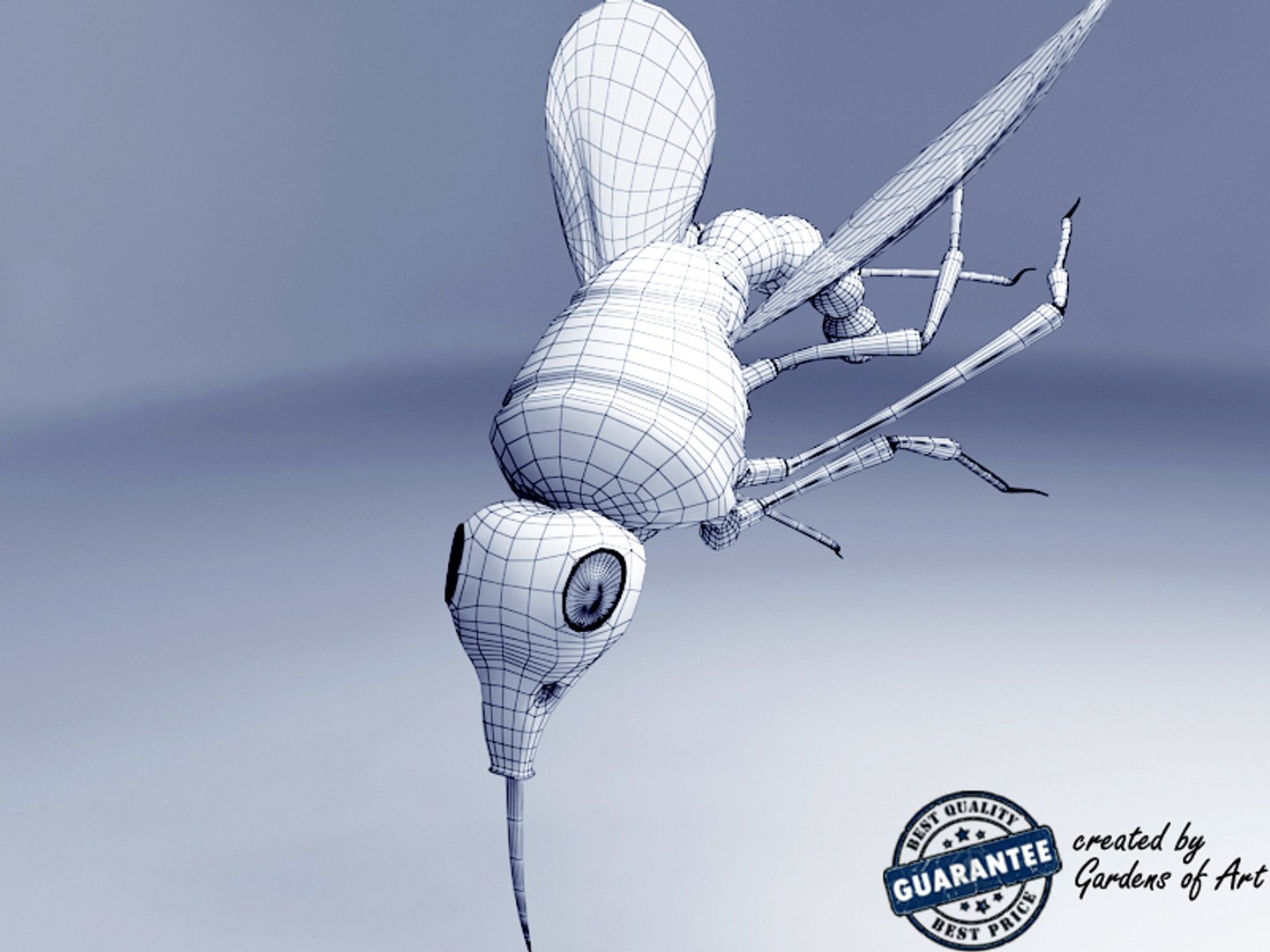 3d Model Of Mosquito