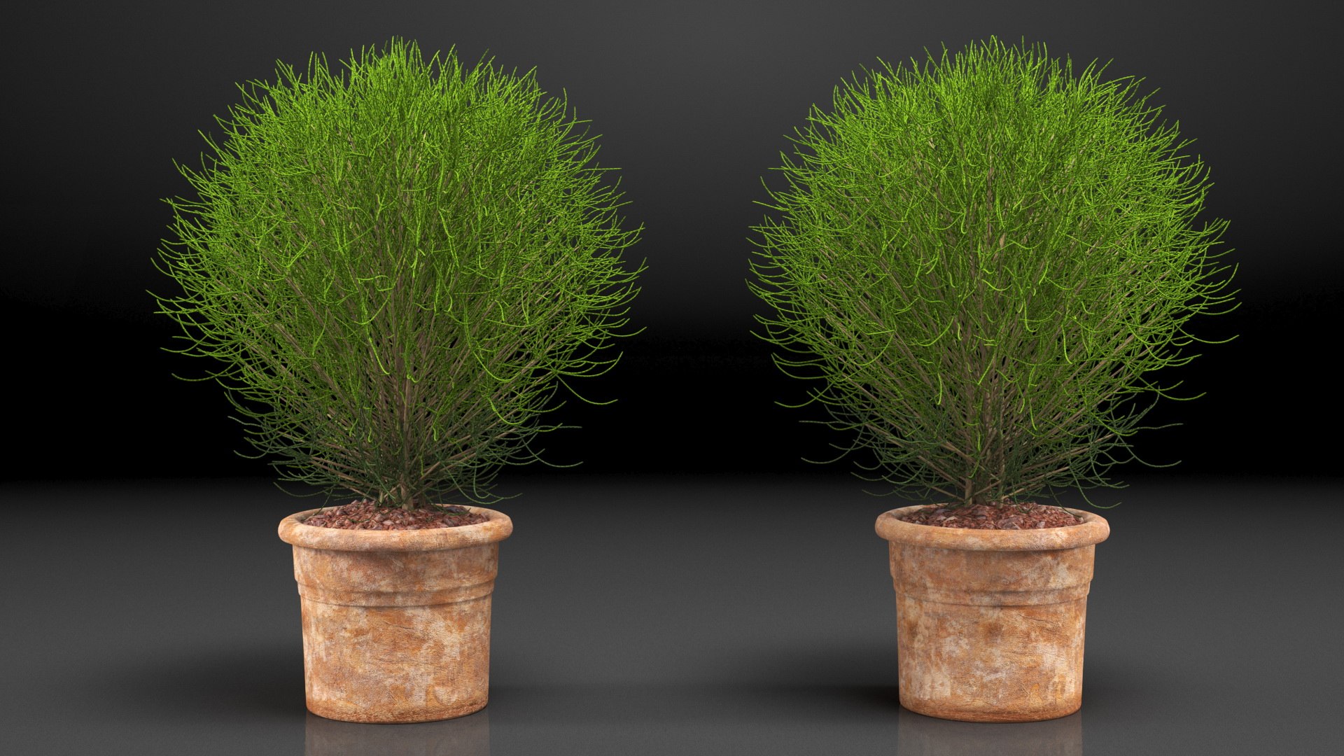 3D Green Spherical Shrub Pot Plant Model - TurboSquid 1789464