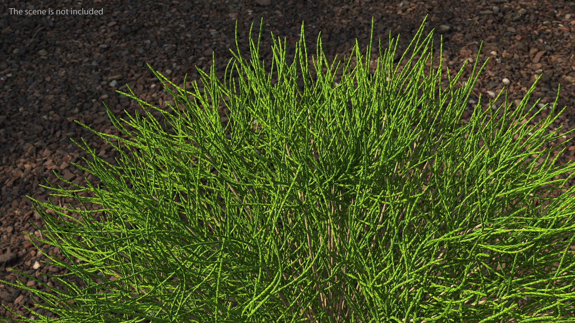 3D Green Spherical Shrub Pot Plant Model - TurboSquid 1789464