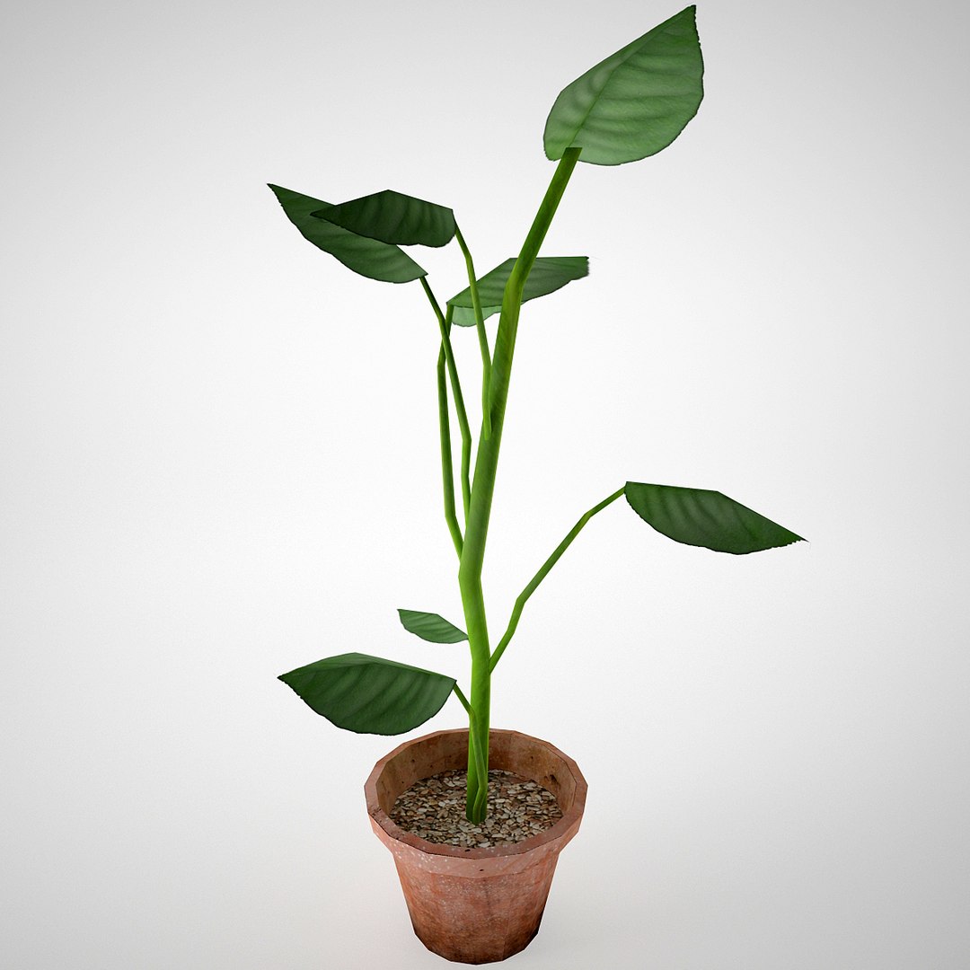 3d model flower pot