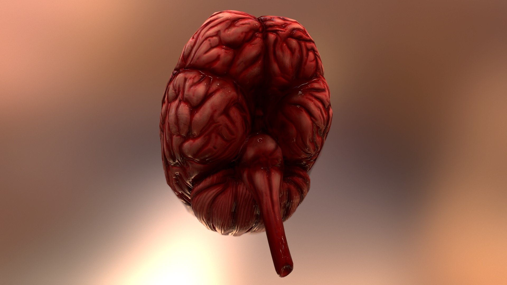 Human Brain 3D - TurboSquid 1381294