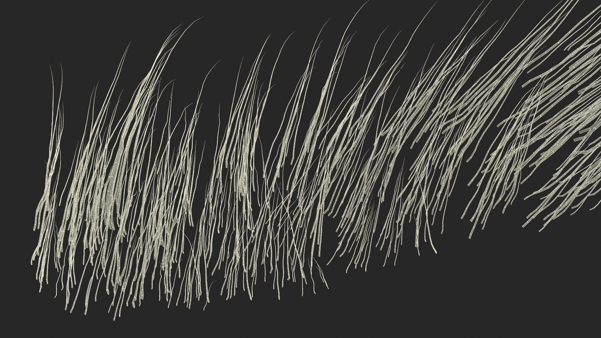 Straight Eyebrows 3D Model - TurboSquid 2213188