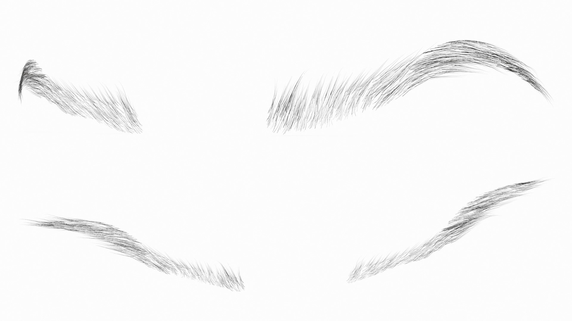 Straight Eyebrows 3D Model - TurboSquid 2213188
