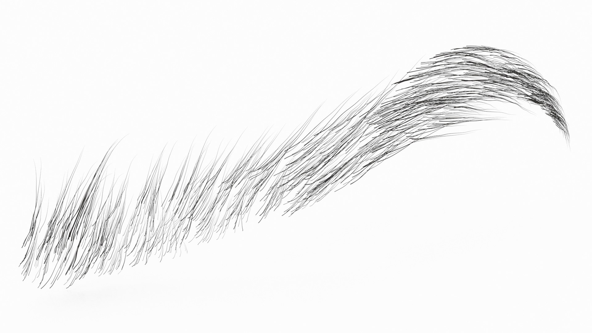 Straight Eyebrows 3D Model - TurboSquid 2213188