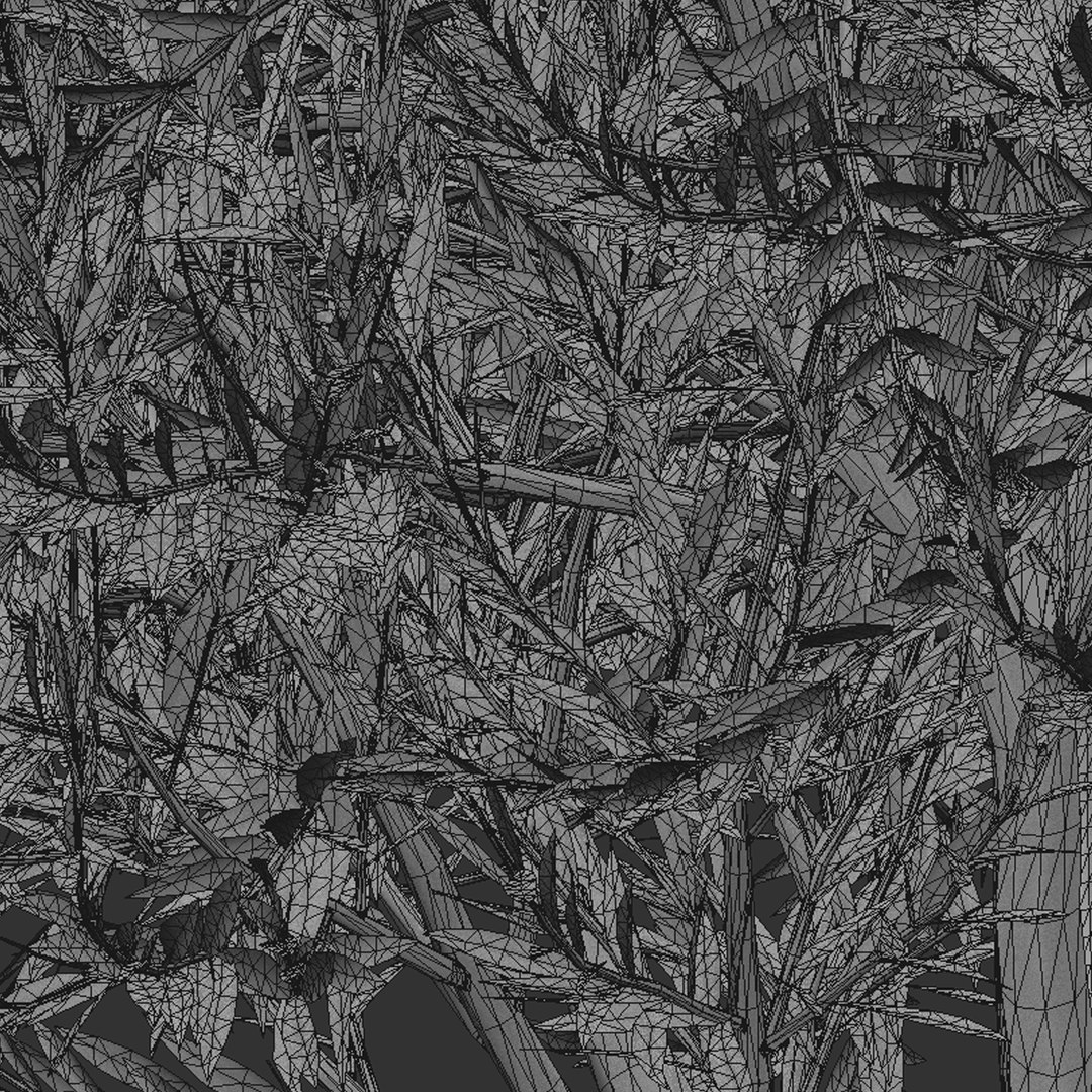 Set of Salix Integra or Dappled Willow Trees - 3 Trees 3D - TurboSquid ...