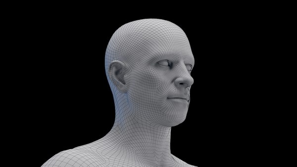 modelo 3d Cuerpo masculino esqueleto ligamentos y músculos estáticos ...