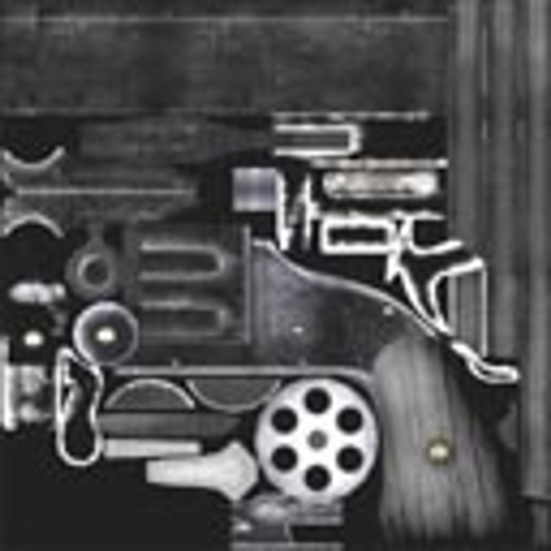 3d Smith Wesson Schofield 1876 Model