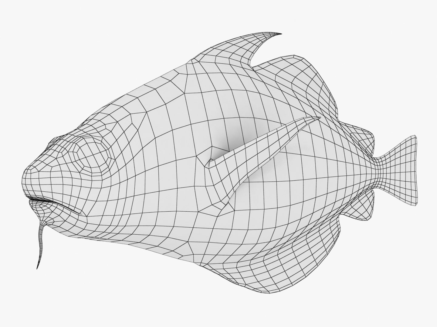 3d Model Pout Fish