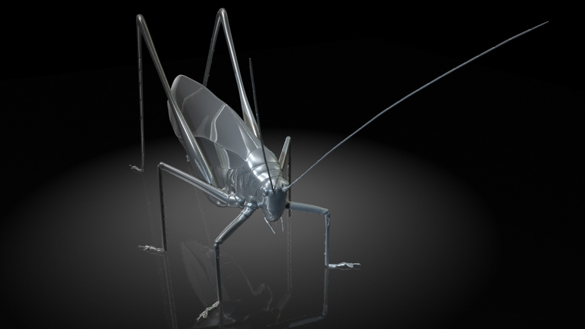 3D Katydids Insects Model - TurboSquid 1324057