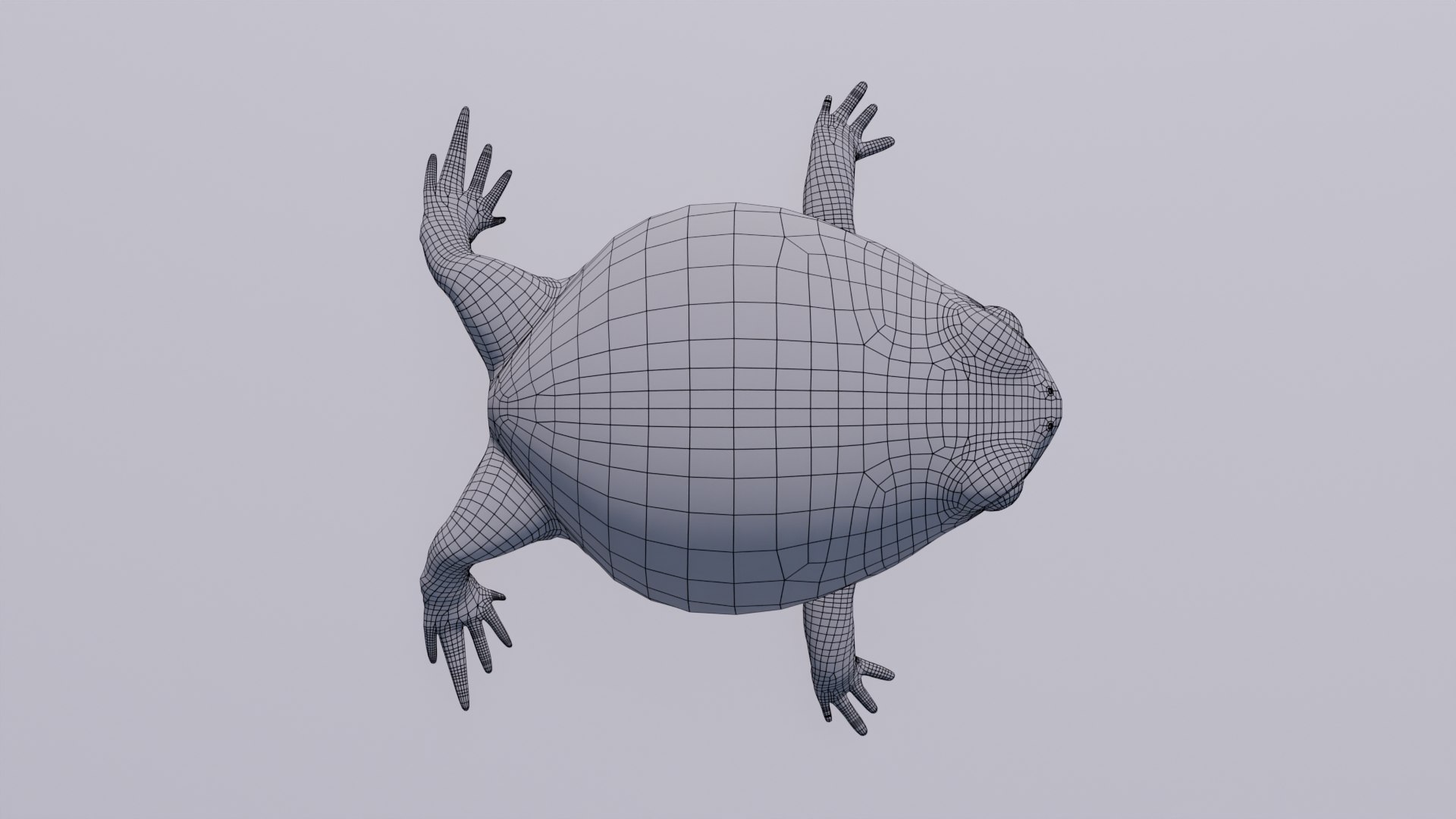 3D Model Desert Rain Frog - Rigged - TurboSquid 2031790