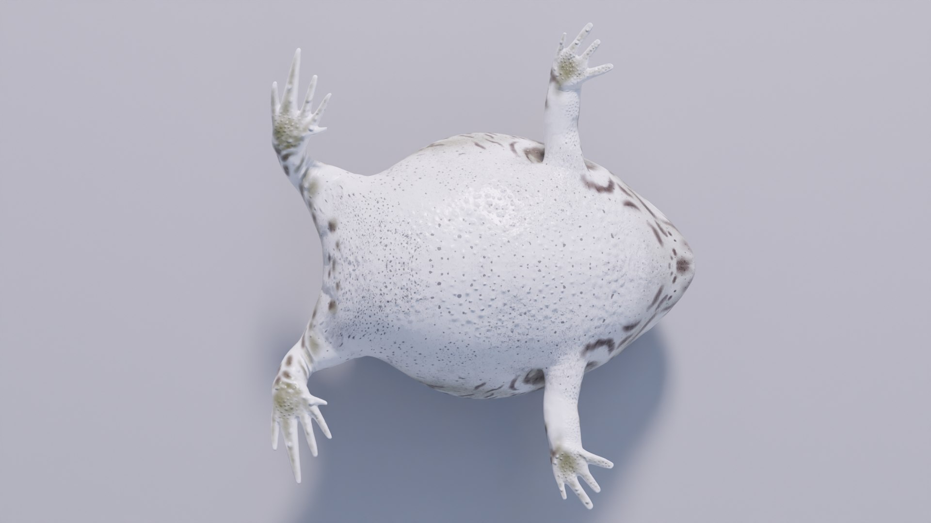 3D Model Desert Rain Frog - Rigged - TurboSquid 2031790