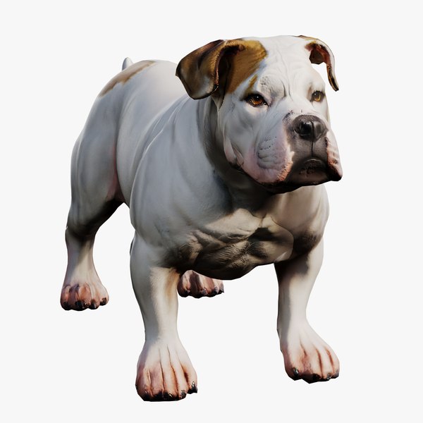 modelo 3d Buldog - TurboSquid 2318466