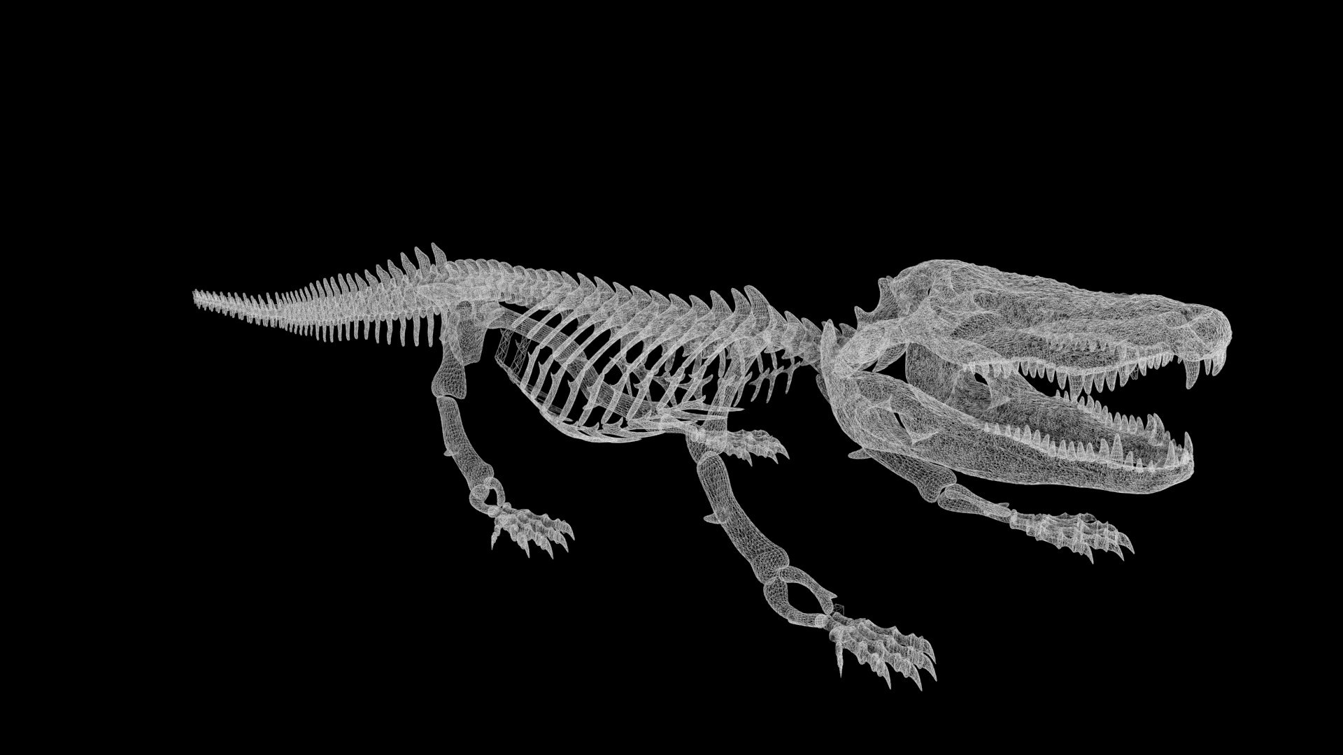 3D Sea Animal Skeletons Model - TurboSquid 1966288