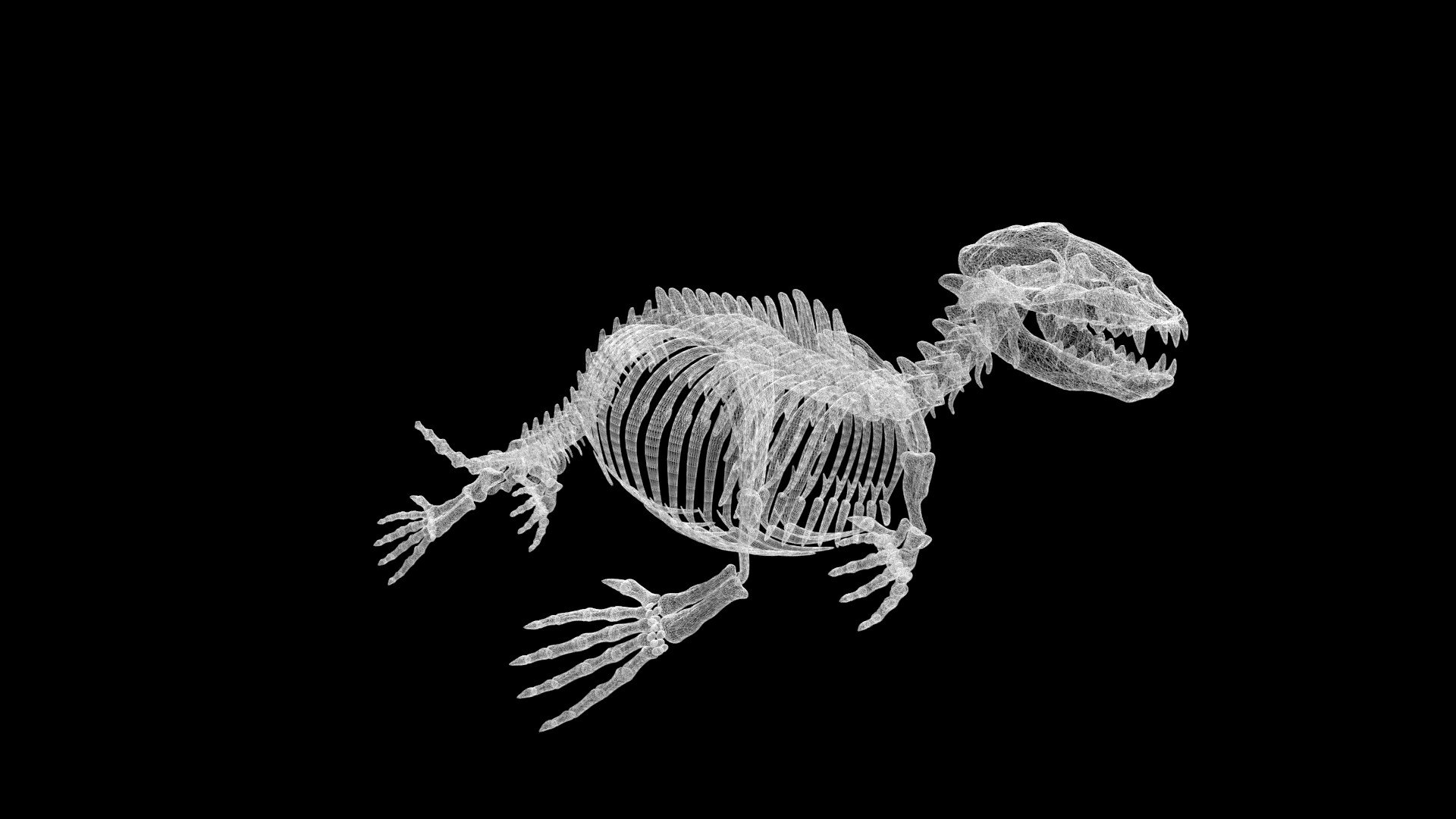 3D Sea Animal Skeletons Model - TurboSquid 1966288