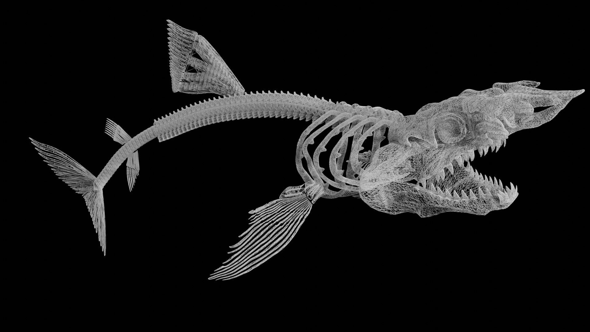 3D Sea Animal Skeletons Model - TurboSquid 1966288