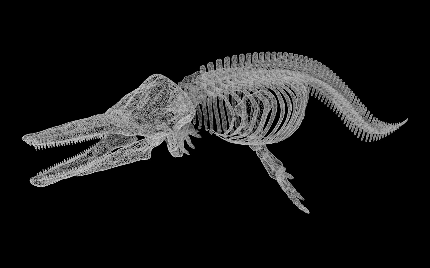 modelo 3d Sea Animal Skeletons - TurboSquid 1966288