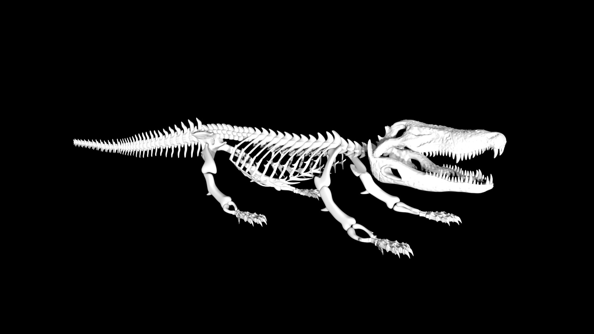 3D Sea Animal Skeletons Model - TurboSquid 1966288