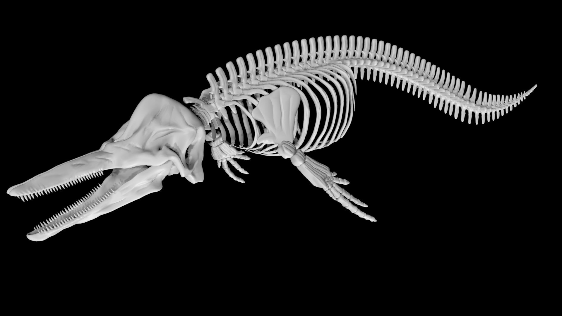 3D Sea Animal Skeletons Model - TurboSquid 1966288