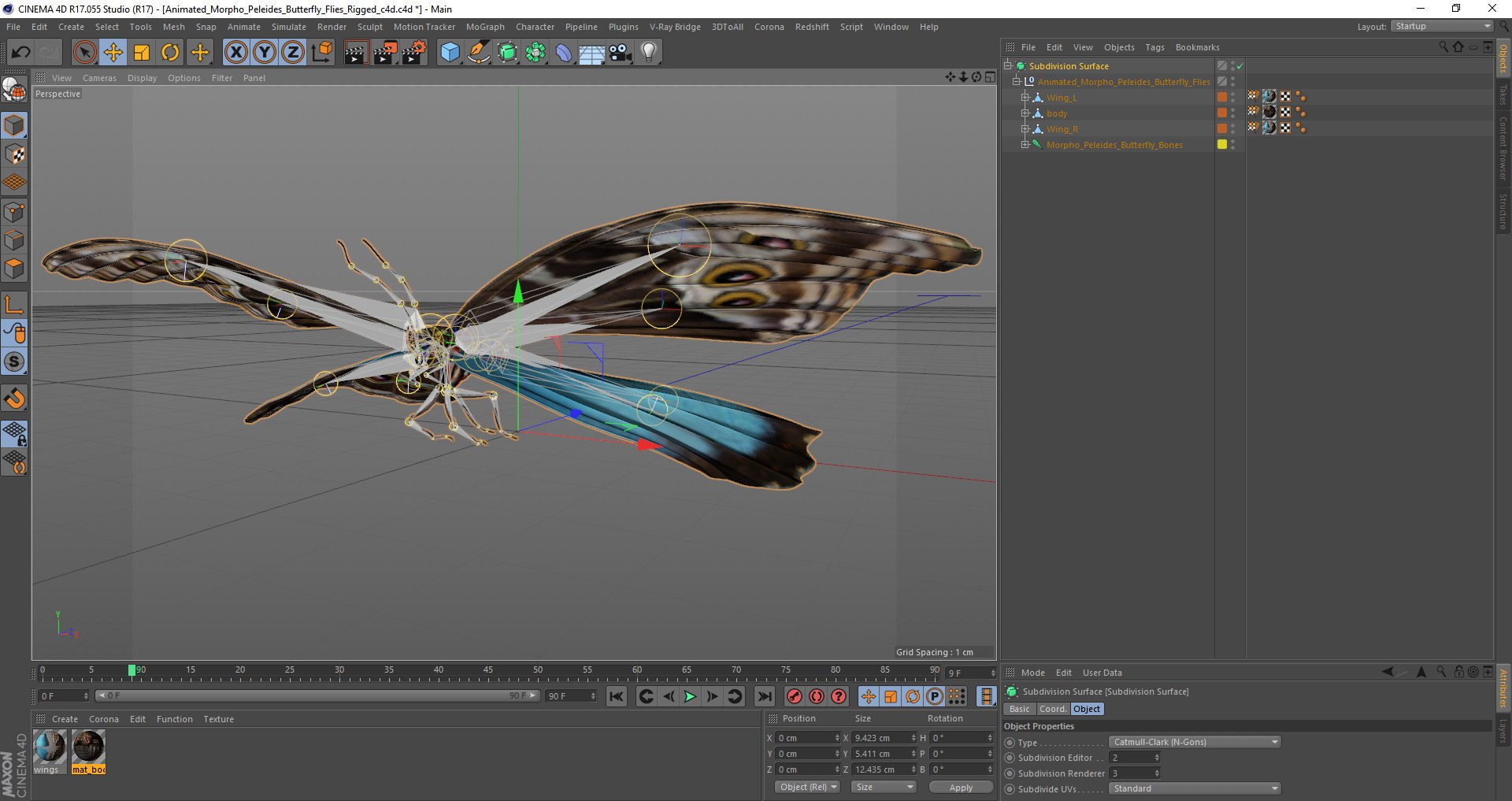 Animated Morpho Peleides Butterfly Flies Rigged for Cinema 4D 3D ...