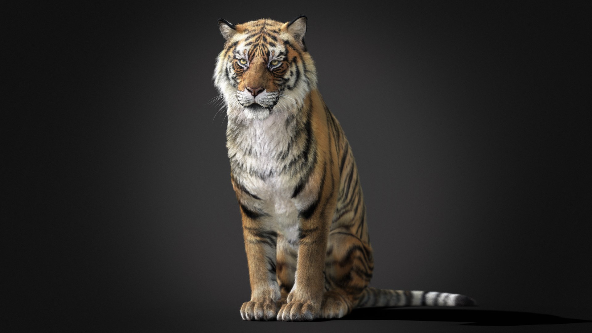 Tiger 2025 RIG Xgen-core 3D - TurboSquid 2380472