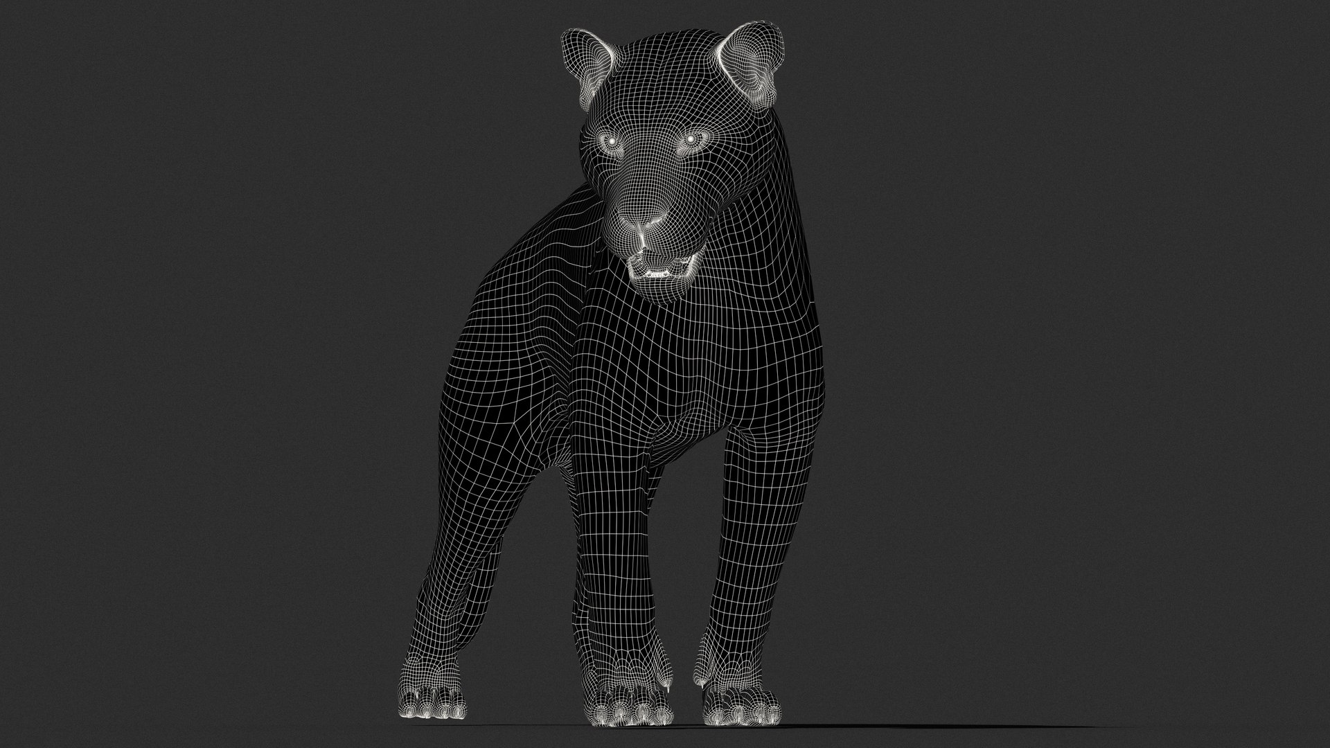 Tiger 2025 RIG Xgen-core 3D - TurboSquid 2380472