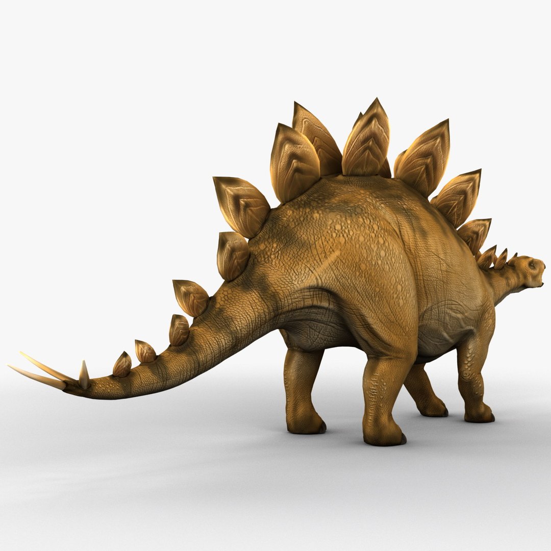 Stegosaurus Prehistoric Modeled 3d Model