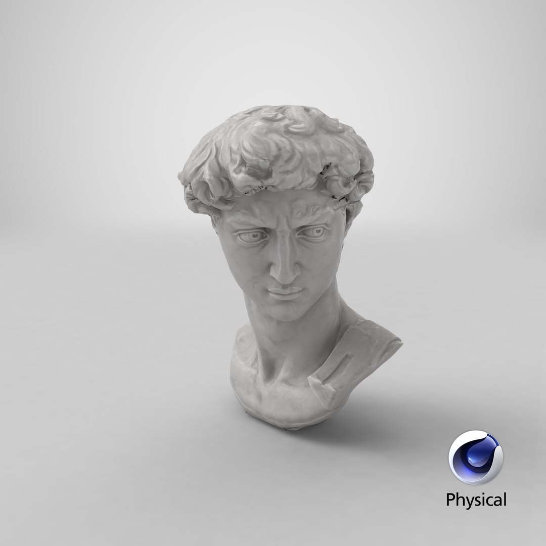 David head 3D model - TurboSquid 1443256