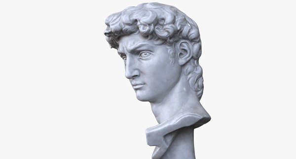 David head 3D model - TurboSquid 1443256