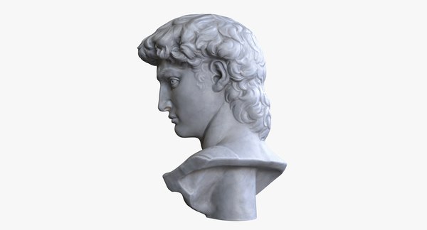David head 3D model - TurboSquid 1443256