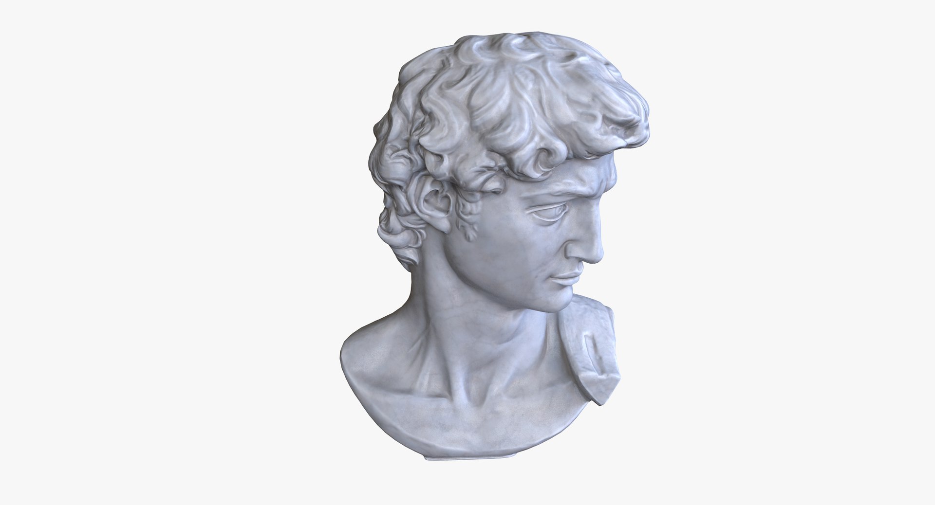 David Head 3D Model - TurboSquid 1443256