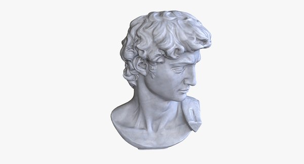 David head 3D model - TurboSquid 1443256