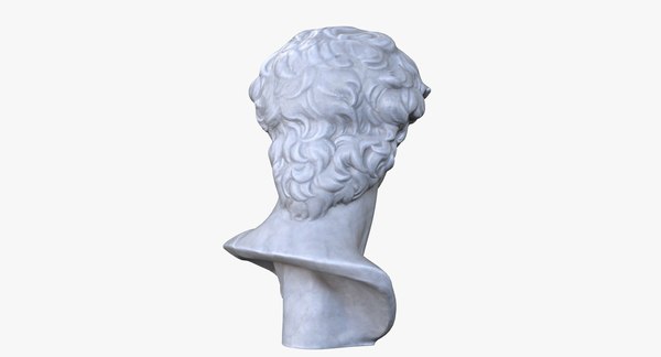 David head 3D model - TurboSquid 1443256