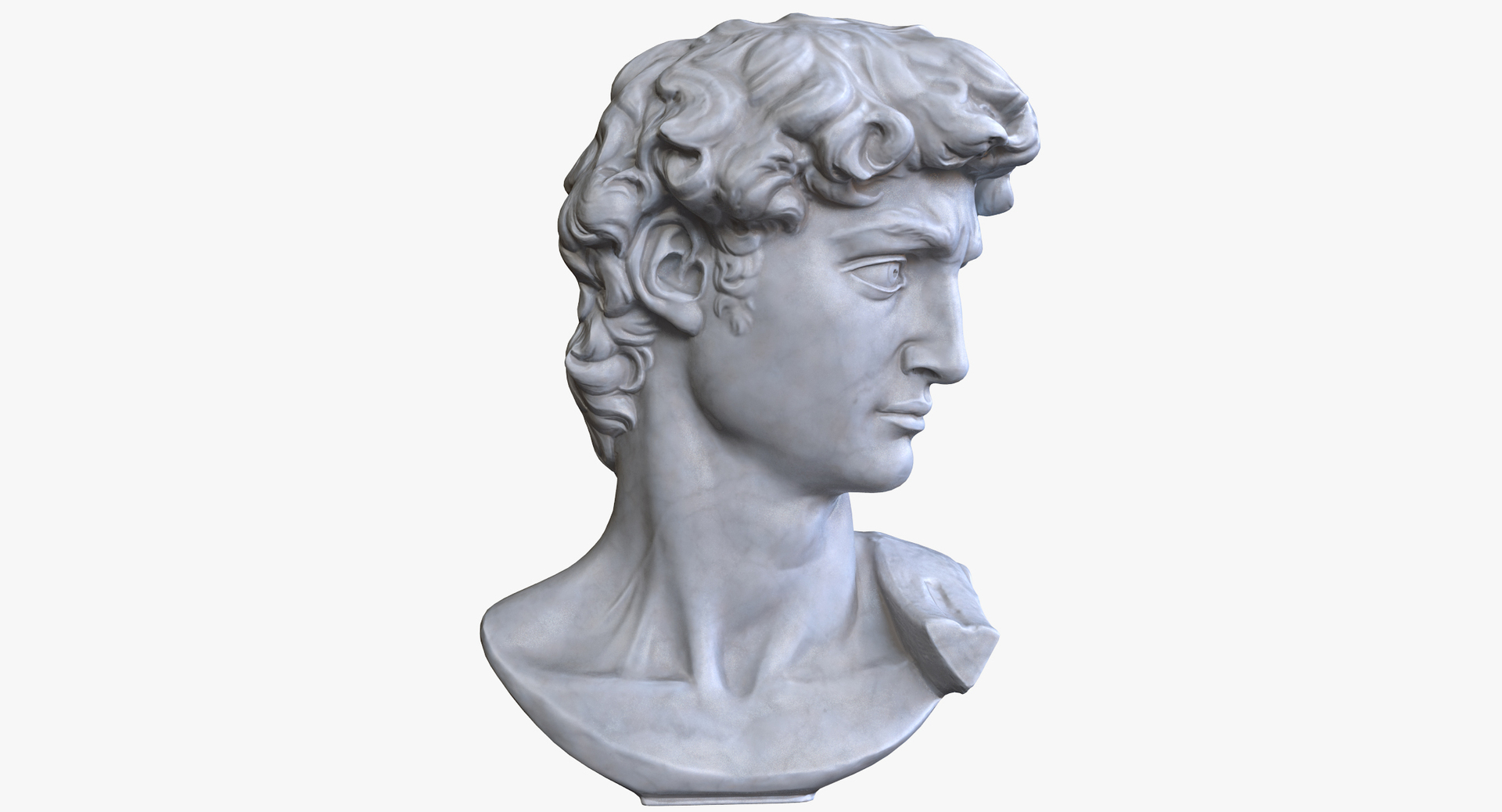 David head 3D model - TurboSquid 1443256