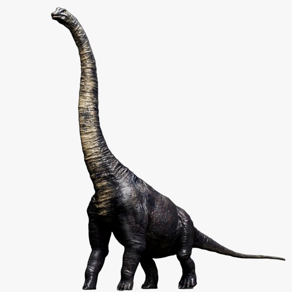 Brachiosaurus Sauropod 3D model - TurboSquid 1994401