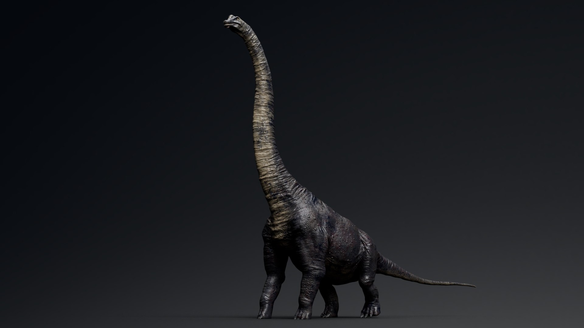 Brachiosaurus Sauropod 3D model - TurboSquid 1994401