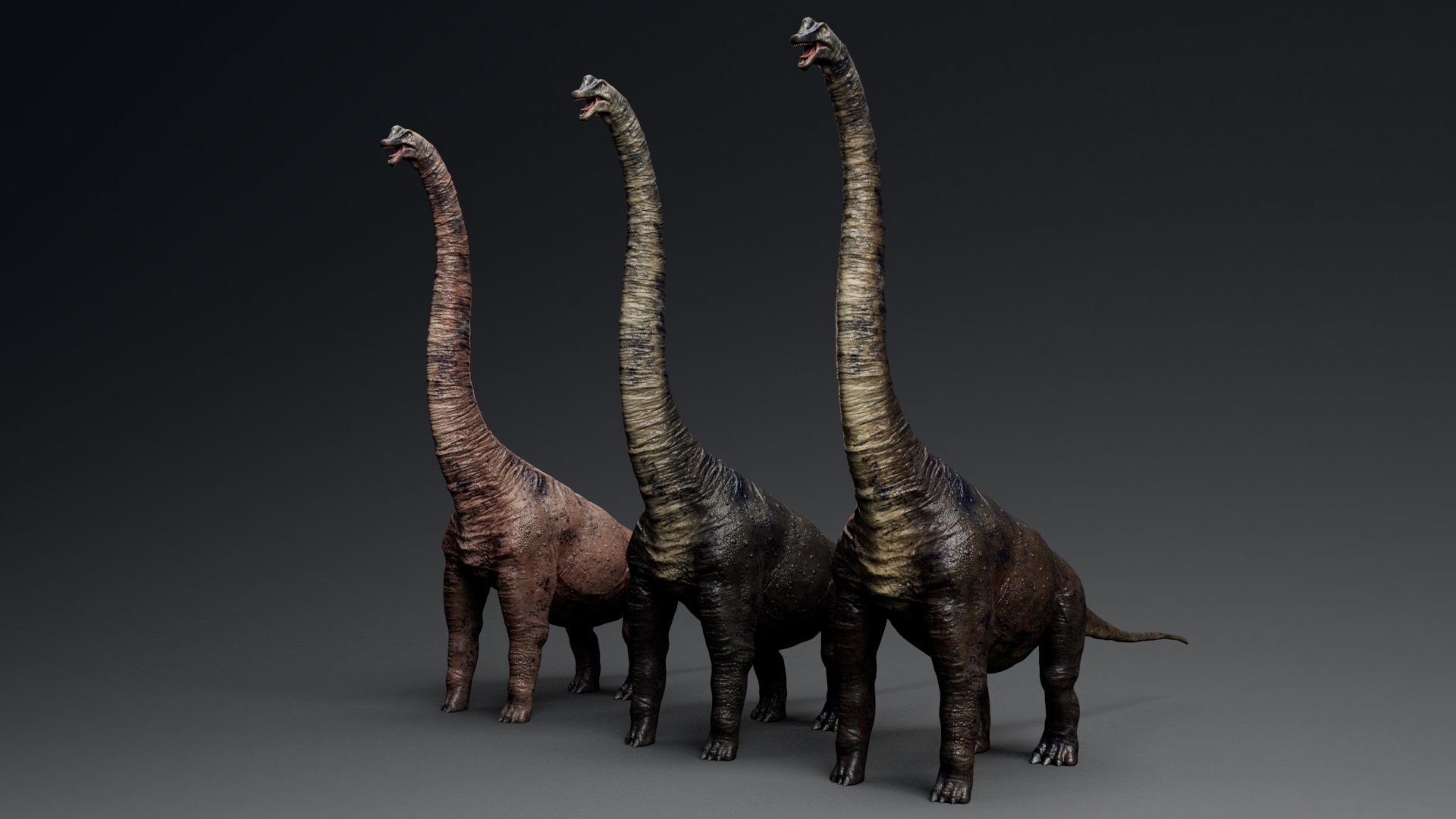Brachiosaurus Sauropod 3D model - TurboSquid 1994401