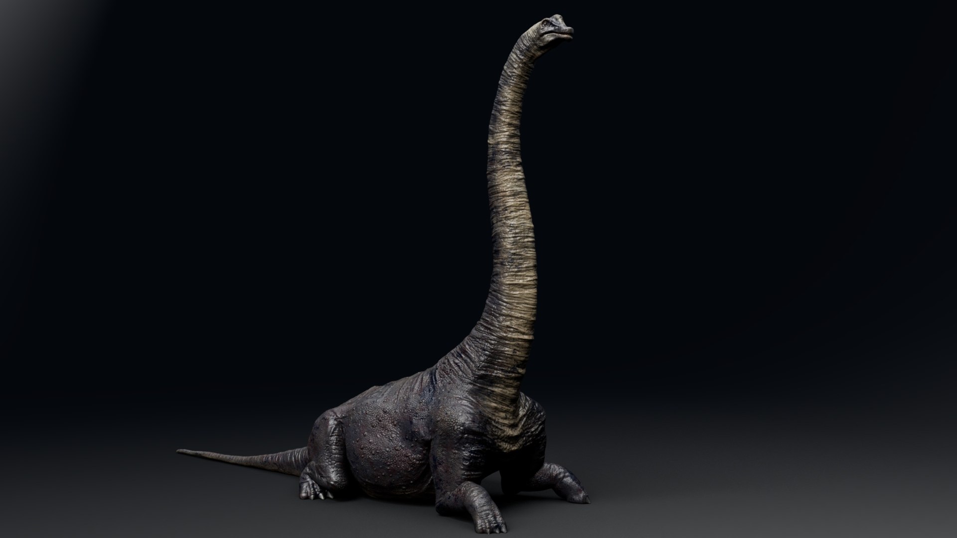 Brachiosaurus Sauropod 3D model - TurboSquid 1994401