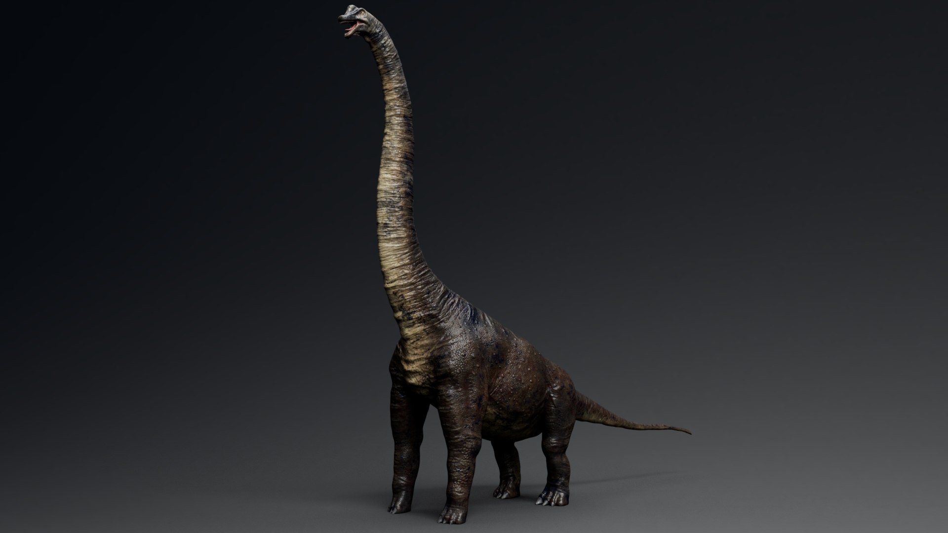 Brachiosaurus Sauropod 3D model - TurboSquid 1994401