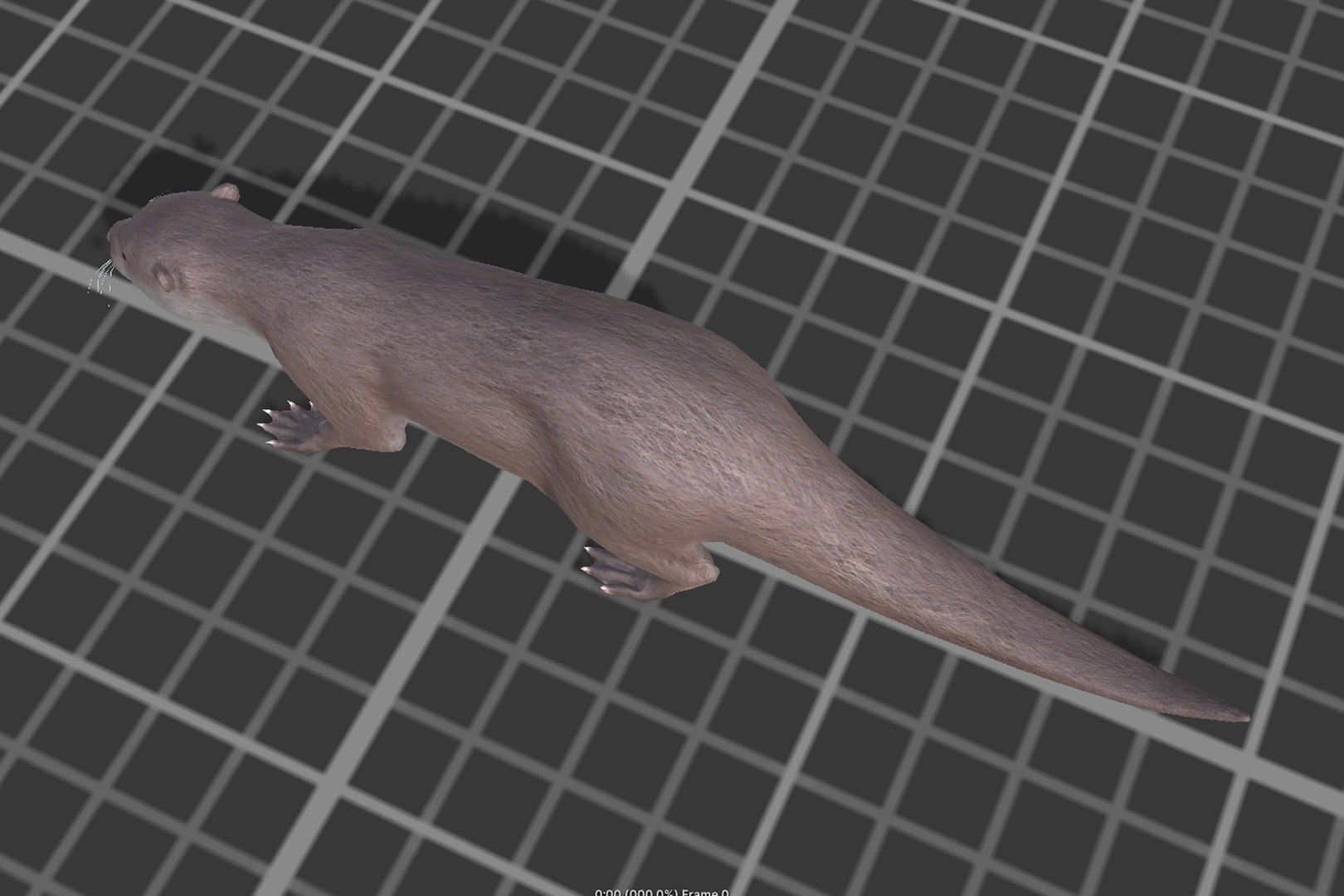 Otter 3D Model - TurboSquid 2168269