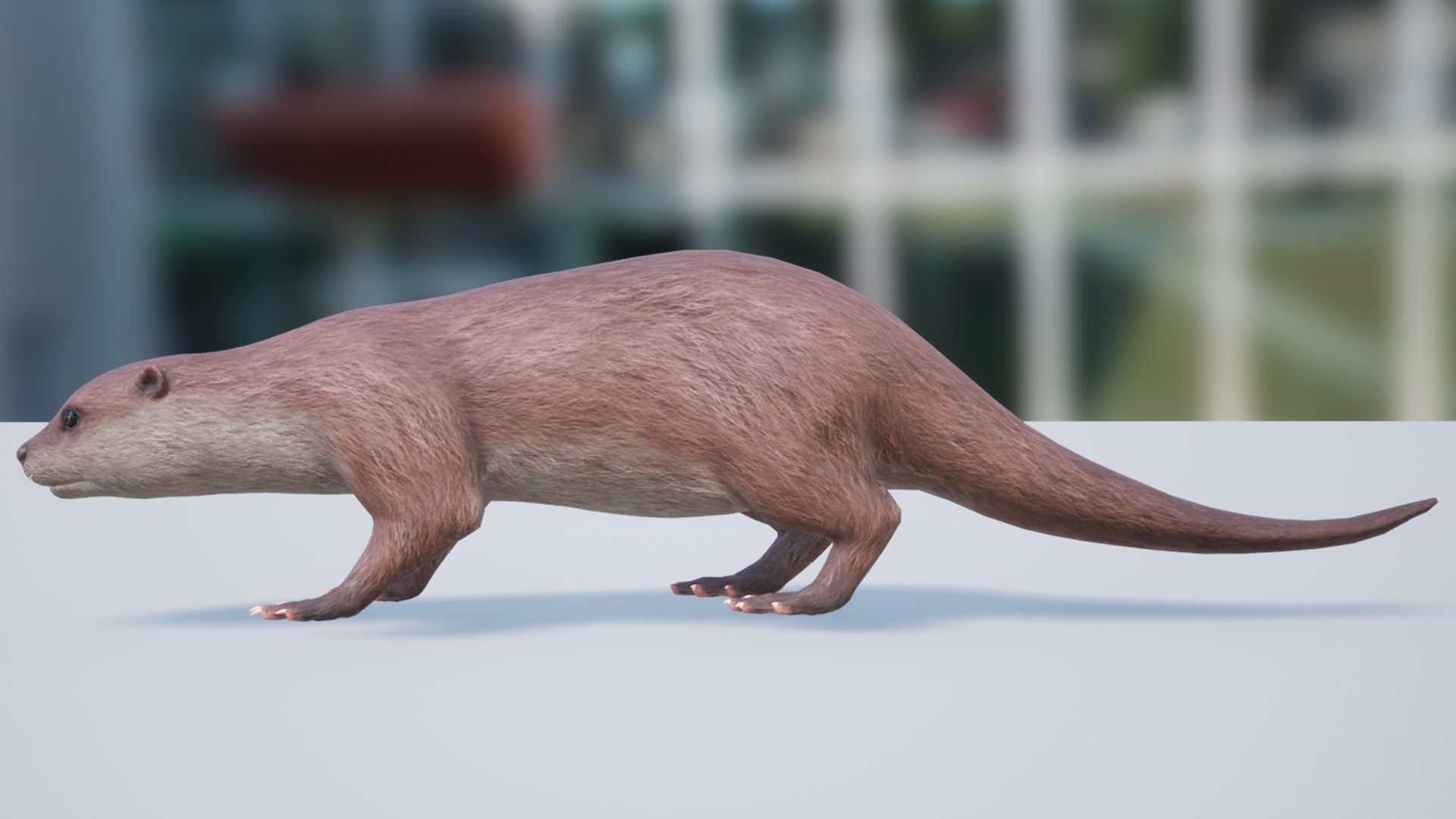 Otter 3D Model - TurboSquid 2168269