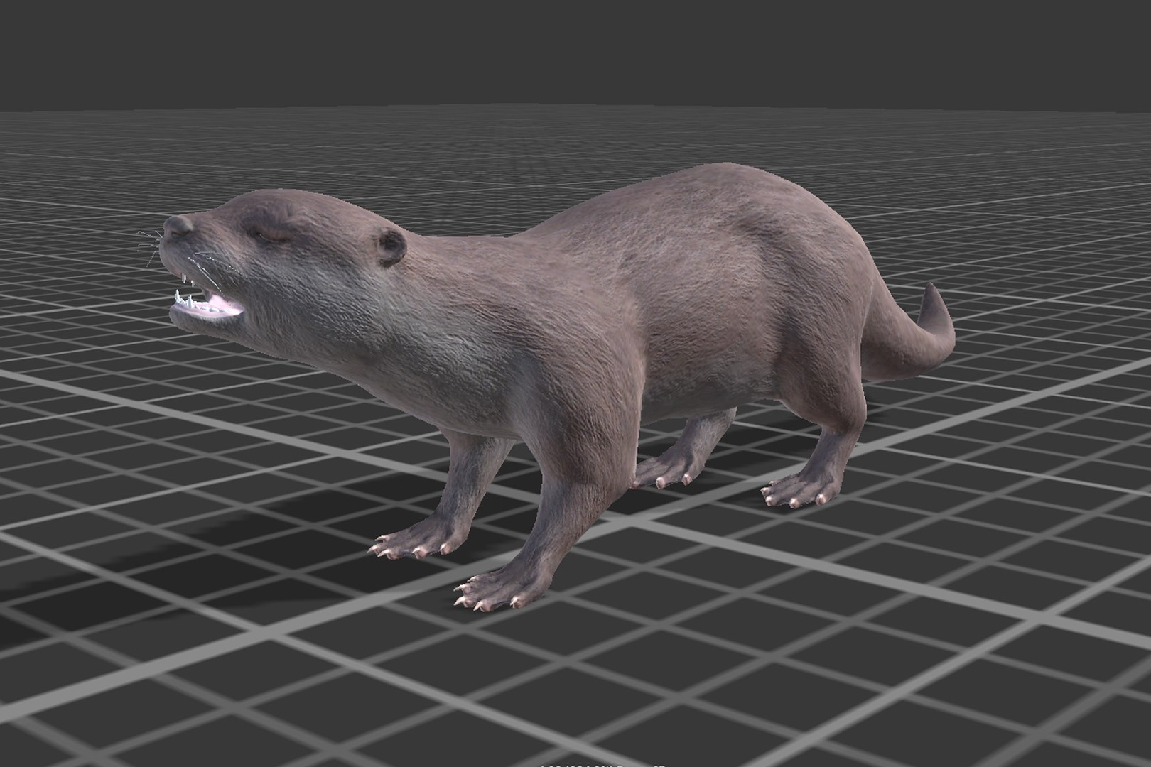 Otter 3D Model - TurboSquid 2168269