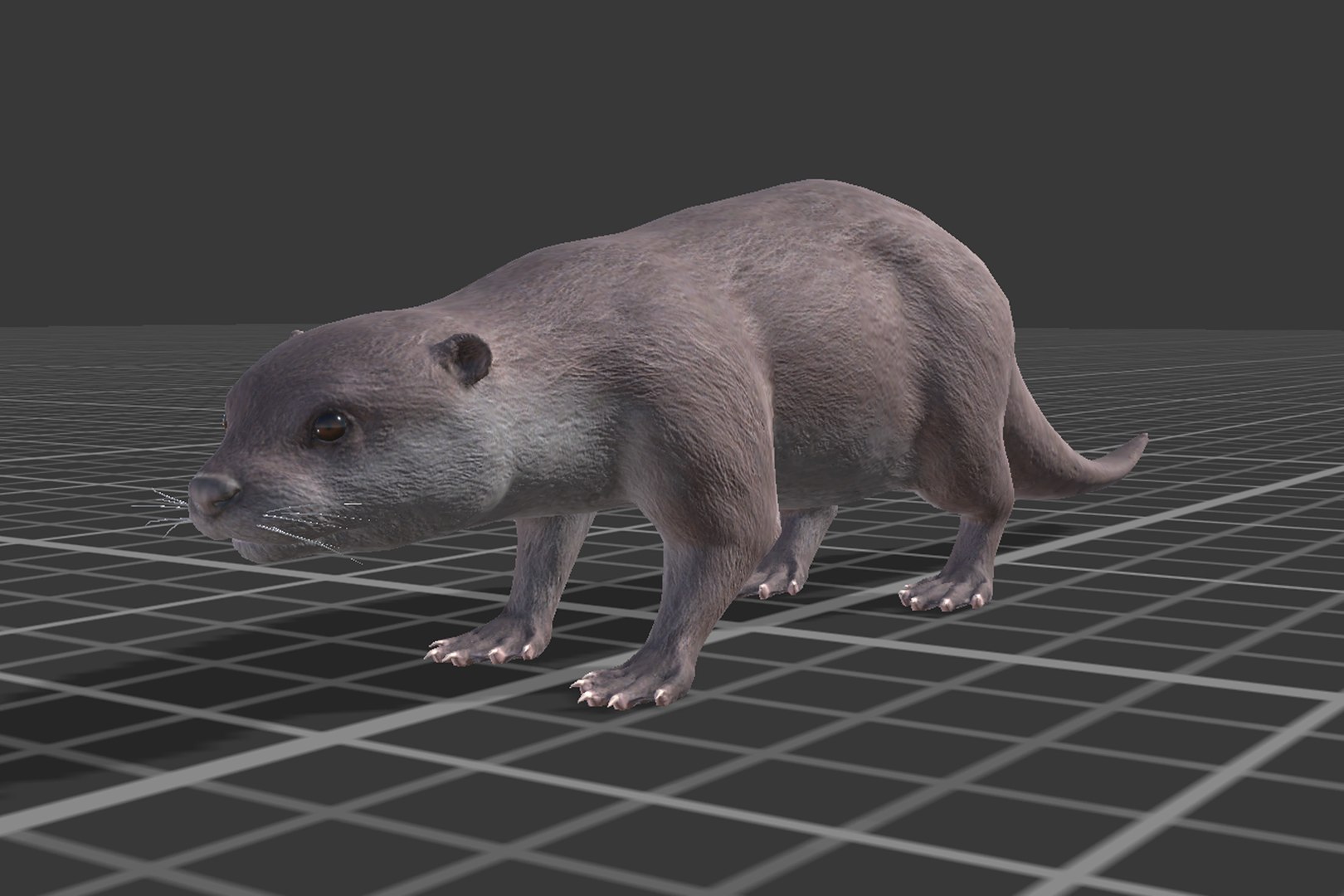 Otter 3D Model - TurboSquid 2168269