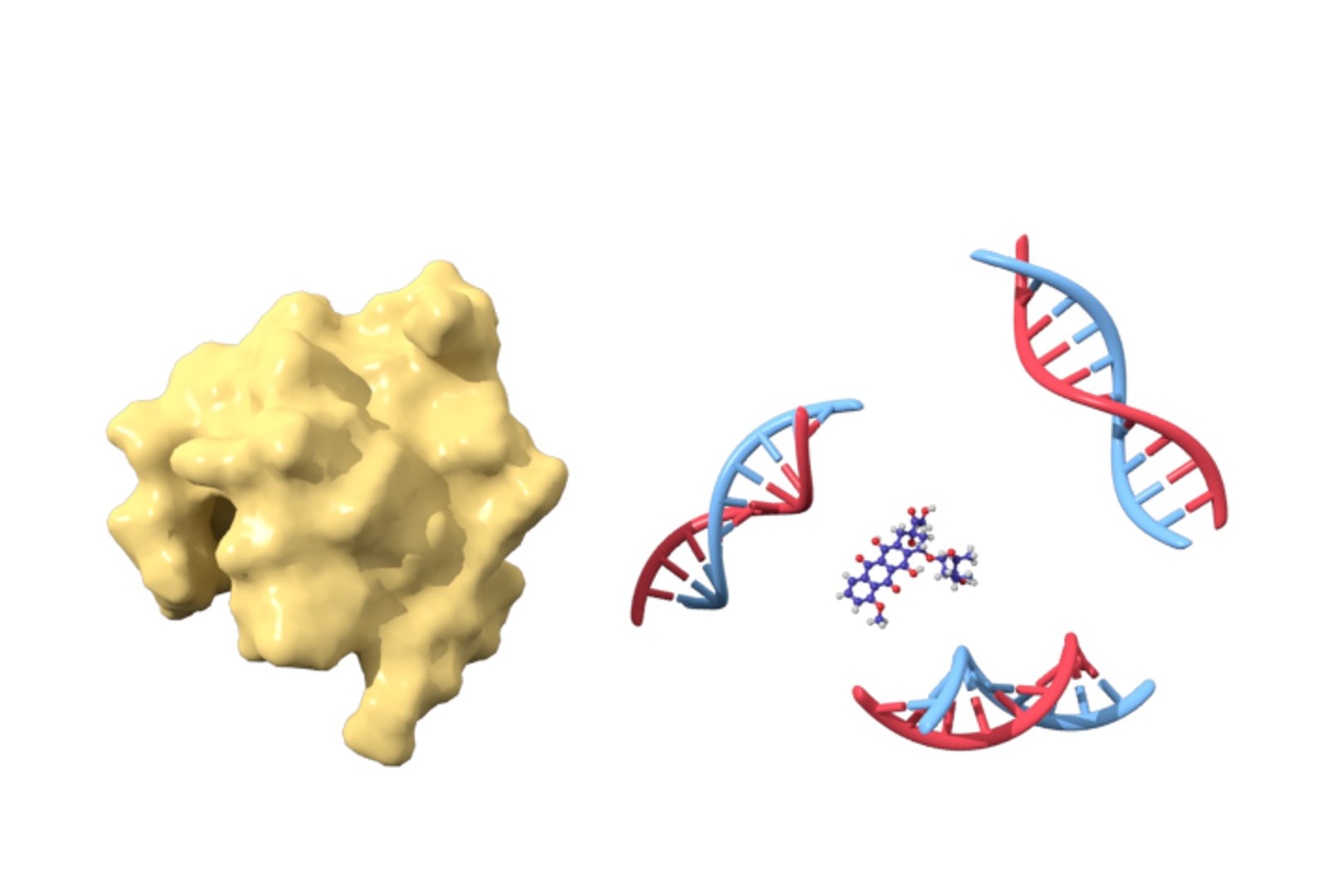 Liposome Vesicle Lipid 3D Model - TurboSquid 1220068