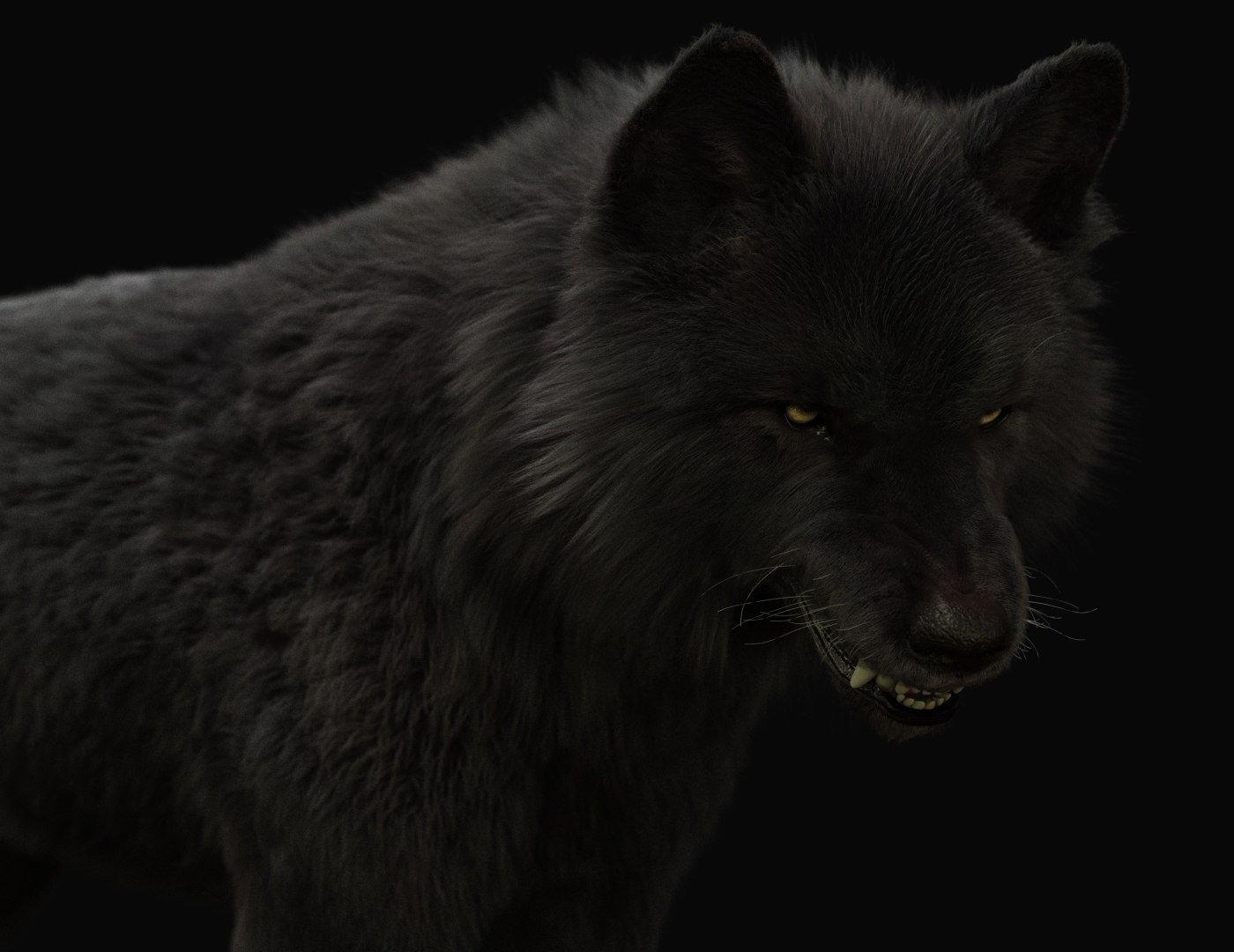 3D Black Wolf Rig XGen - TurboSquid 2181156