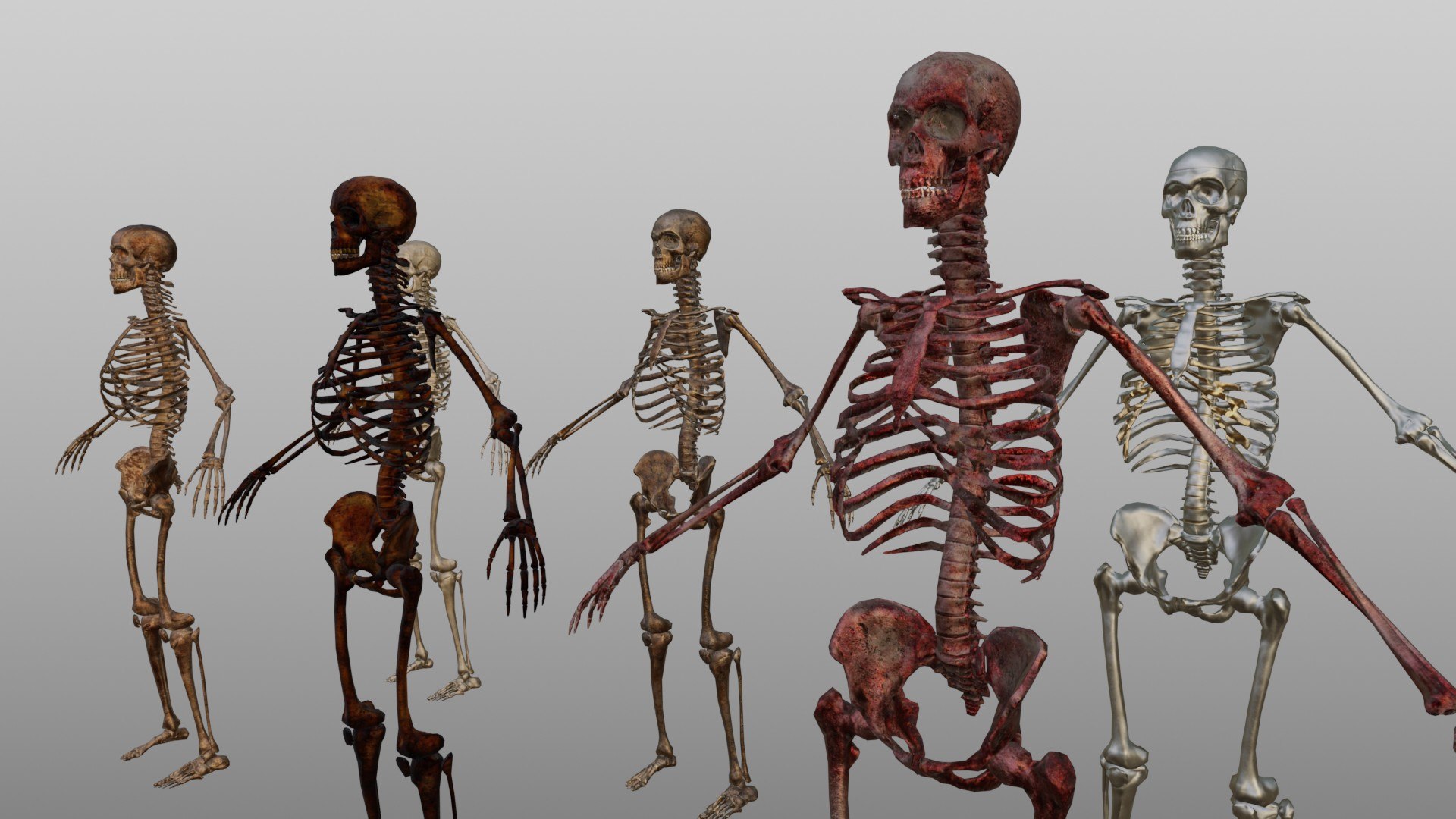 3D Human Bones And Skeleton Model - TurboSquid 2257713