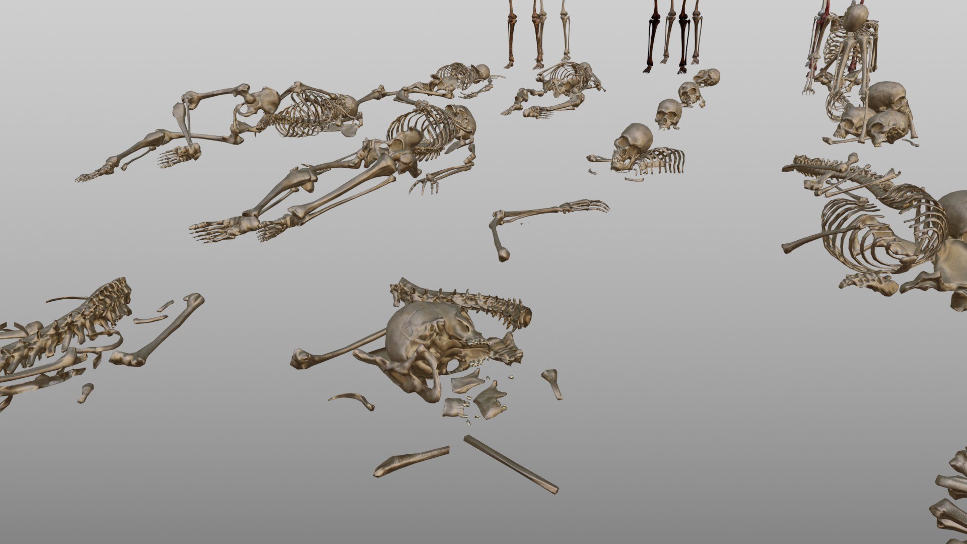3D Human Bones And Skeleton Model - TurboSquid 2257713